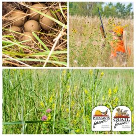 Central Mixed-Grass Prairie Seed Mix – Nebraska Pheasants Forever